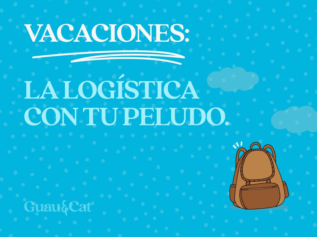 Planificar las vacaciones con mi perro | Guau and Cat
