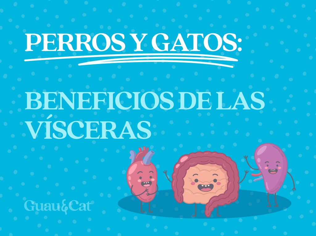 Beneficios de las vísceras para perros y gatos